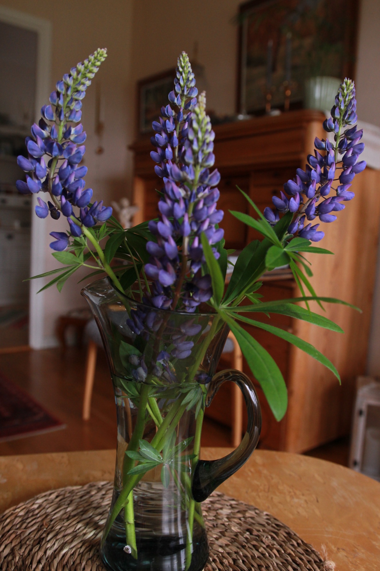 Lupiner | tassar genom livet